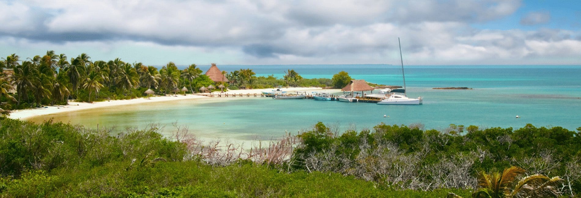 Isla Contoy Visitors Guide | How to Get There, Things to Do & More