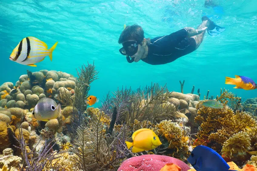 Cancun Snorkeling & Diving Guide | September 2025