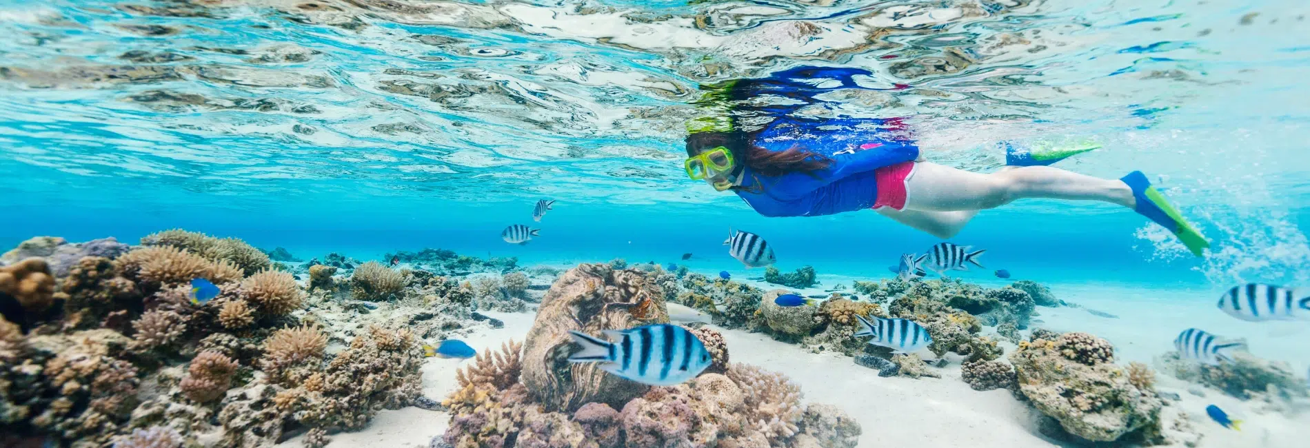 Cancun Snorkeling & Diving Guide | September 2025