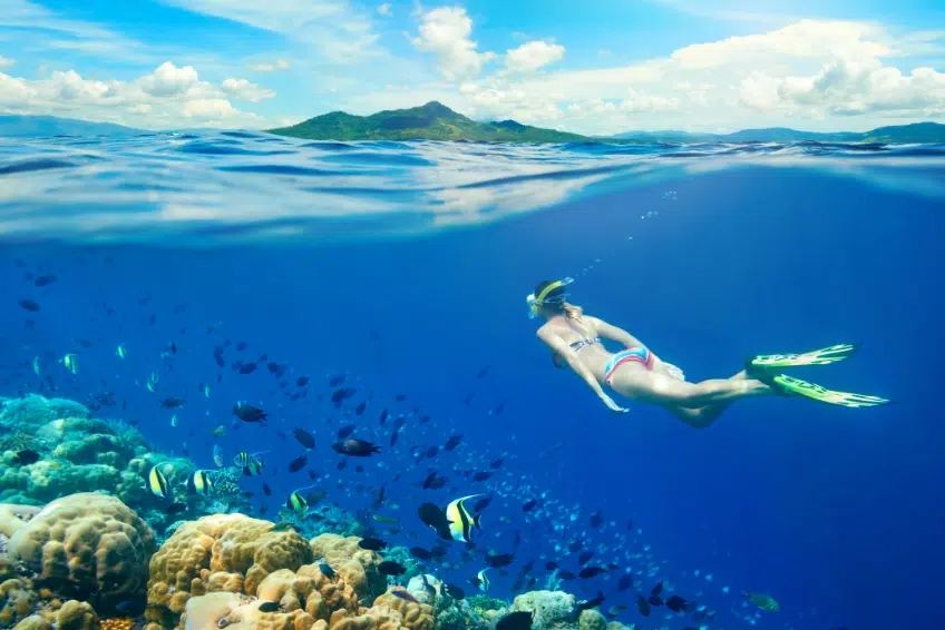 Cancun Snorkeling & Diving Guide | September 2025