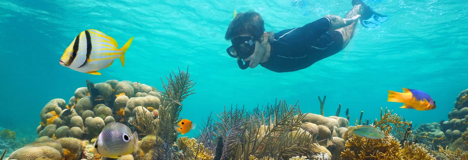 Cancun Snorkeling & Diving Guide | September 2025