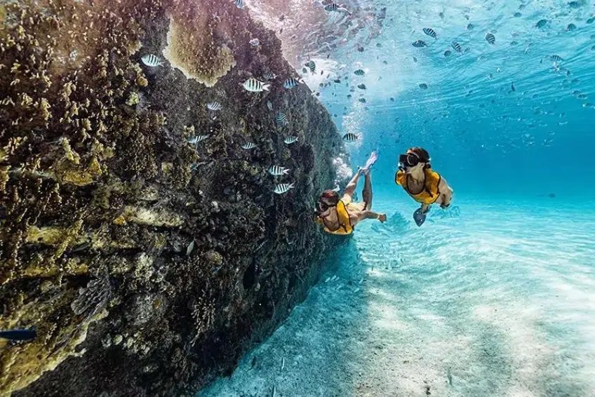 Cozumel Snorkeling Cancun