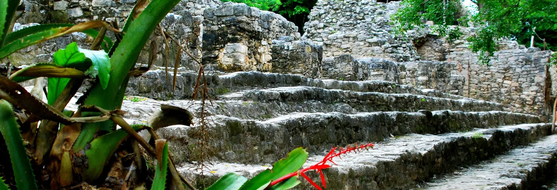 Akumal Visitors Guide 2025 | Things To Do, Maps & More.