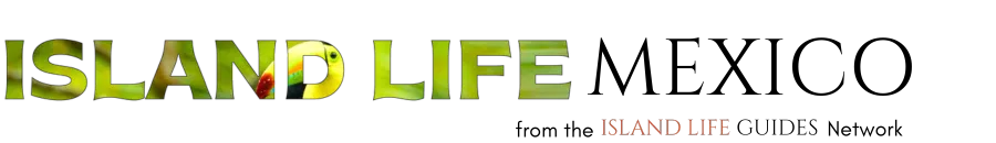 Island Life Mexico | The Best Of The Mexican Caribbean